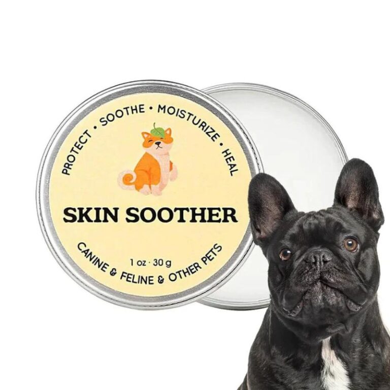 French Bulldog Skin Bumps: 6 Common Reasons & Best Treatment