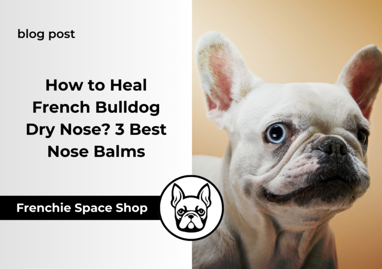 How to Heal French Bulldog Dry Nose? 3 Best Nose Balms