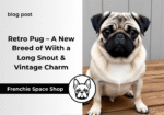 Retro Pug – A New Breed of Wiith a Long Snout & Vintage Charm